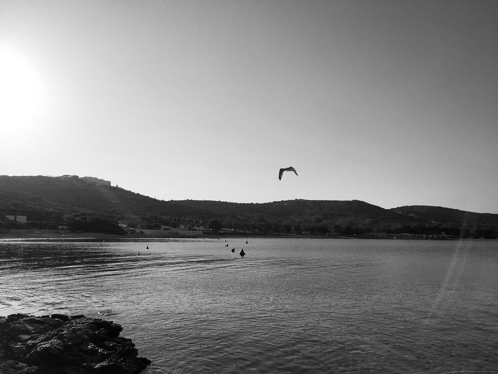 Chess. Future. Rivers. – Chess Programming